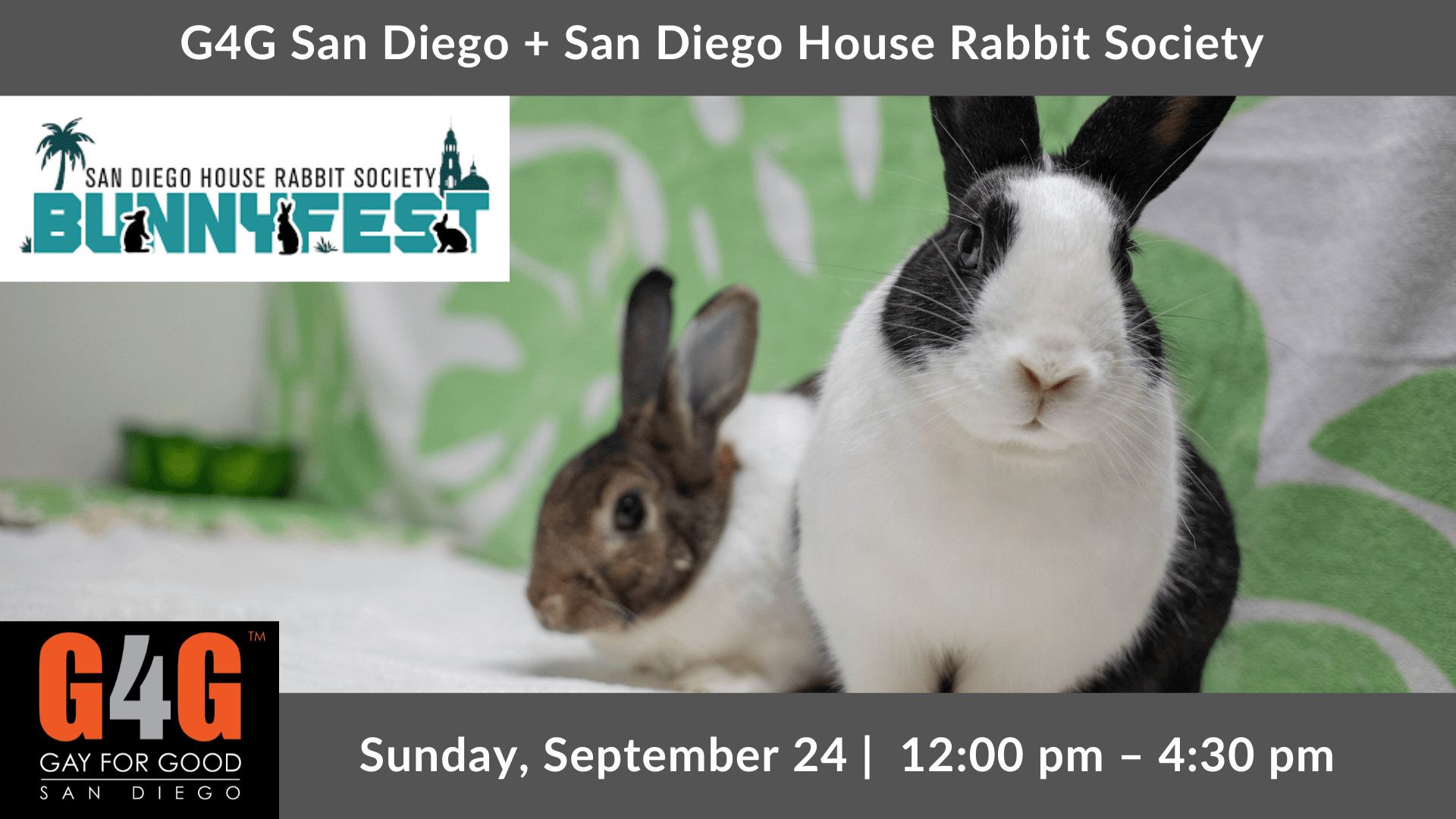 G4G San Diego + San Diego House Rabbit Society Event | 09/24/2023 - Gay ...